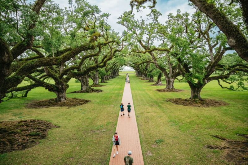 New Orleans: Oak Alley Plantation and Swamp Cruise Day Trip - An In-Depth Look at the Tour Itinerary