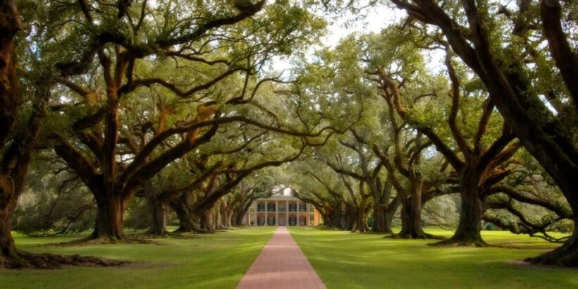 New Orleans: Oak Alley Plantation Half Day Tour - Pricing and Value for Money