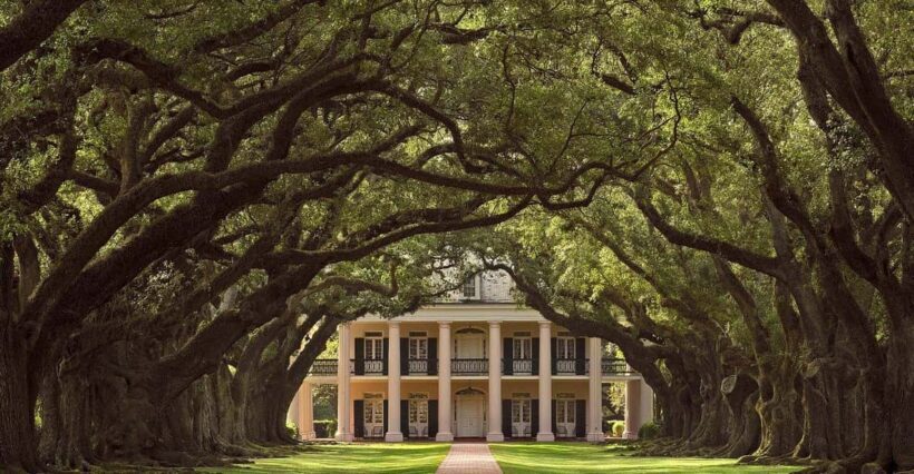 New Orleans: Oak Alley Plantation Half Day Tour - Final Thoughts: Who Is This Tour Best For?