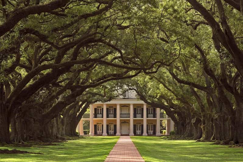 New Orleans: Oak Alley Plantation Half Day Tour - What to Expect During Your Visit