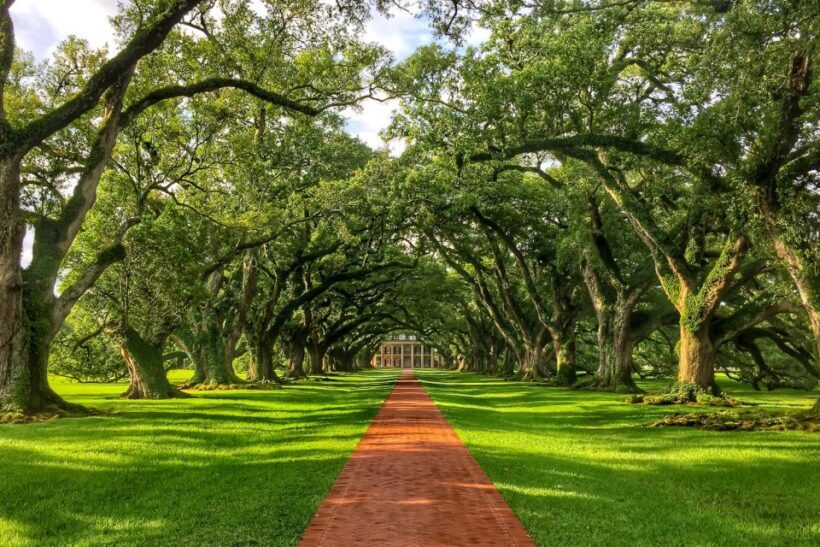 New Orleans: Oak Alley Plantation Tour with Transportation - Introduction