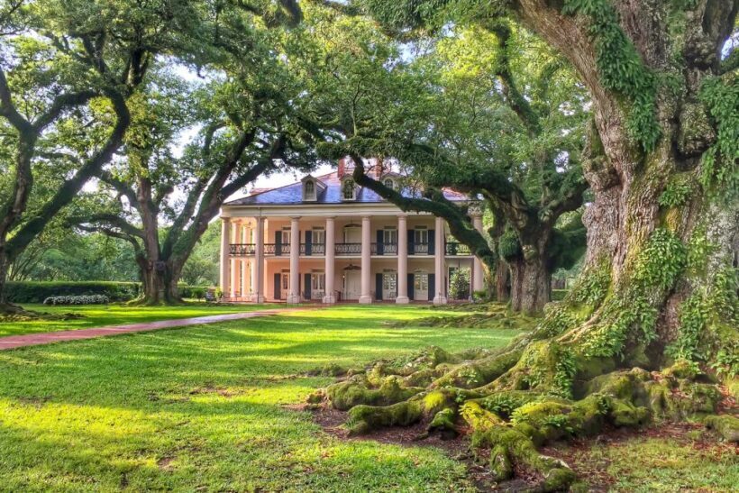 New Orleans: Oak Alley Plantation Tour with Transportation - Exploring the Tour Itinerary and Experience