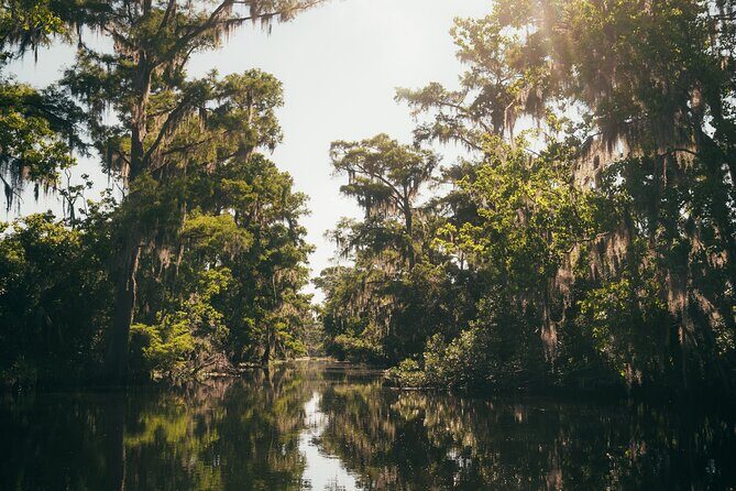 New Orleans Premium Six-Passenger Airboat Adventure - Who Will Love This Tour?