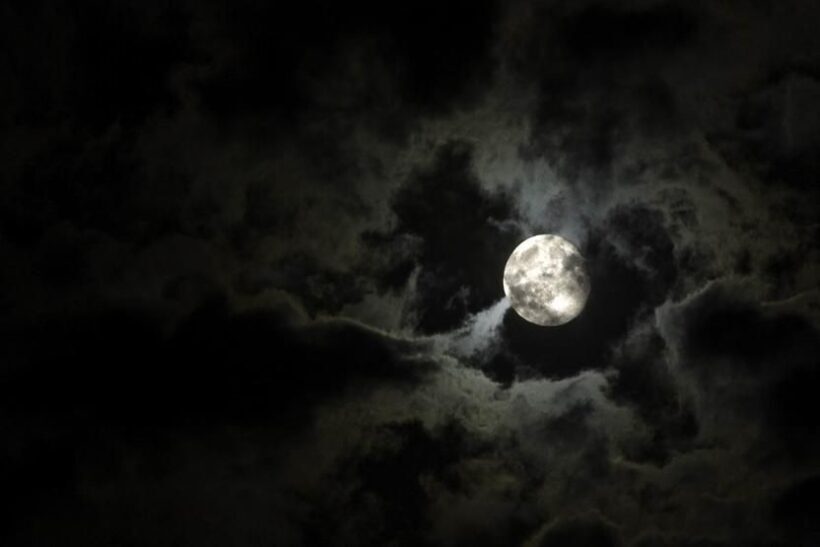 New Orleans: Private Haunted Excursion Tour - A Deep Dive into the Haunted Streets of New Orleans