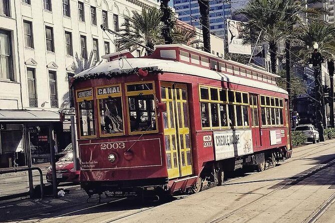 New Orleans Private Vehicle City Tour - Who Should Consider This Tour?