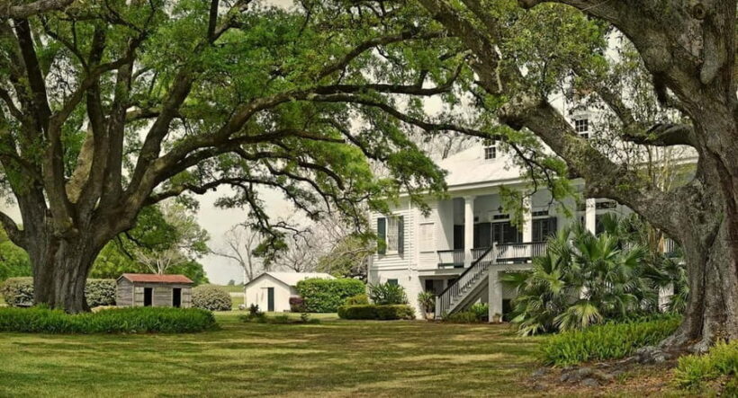 New Orleans: St. Joseph and Felicity Plantation Guided Tour - The Sum Up