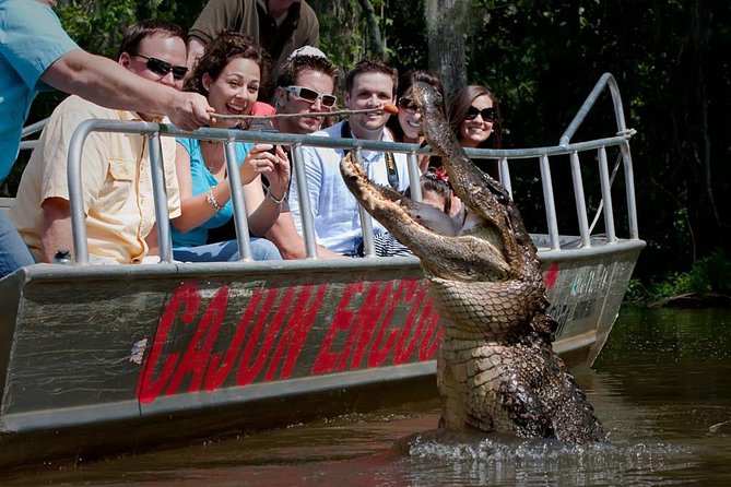 New Orleans Swamp and Bayou Boat Tour with Transportation - Key Points