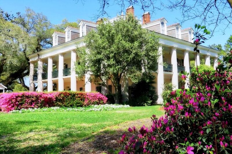 New Orleans: Swamp Boat Ride and Historic Plantation Tour - The Swamp Boat Ride: Nature’s Close-Up