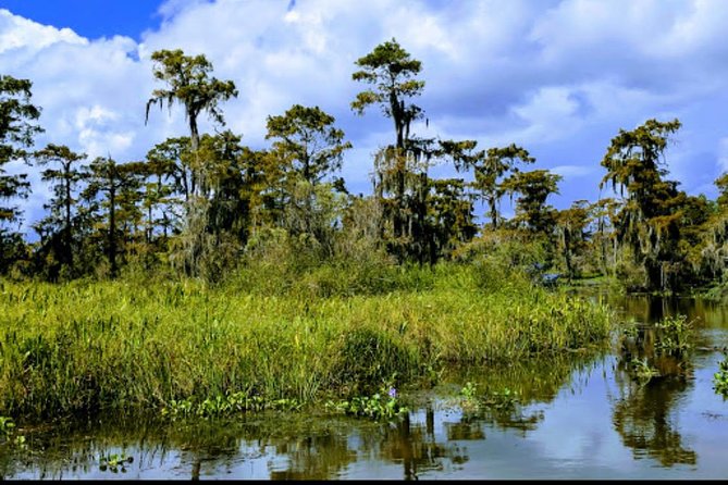 New Orleans Swamp Tour Boat Adventure with Transportation - Authentic Encounters and Practical Tips