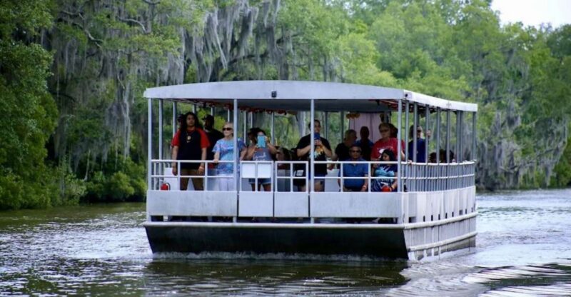New Orleans: Swamp Tour on Covered Pontoon Boat - Key Points
