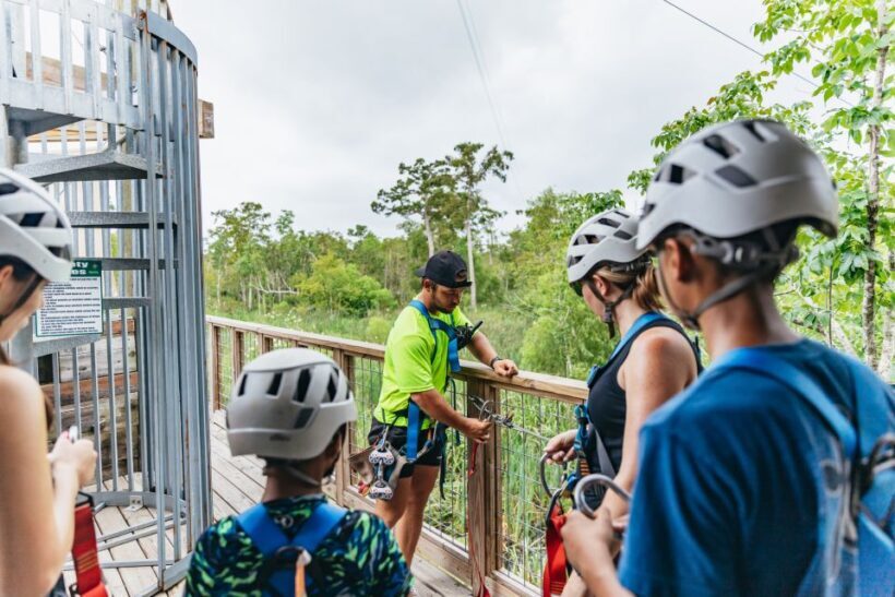 New Orleans: Swamp Zipline Tour - An In-Depth Look at the Swamp Zipline Experience