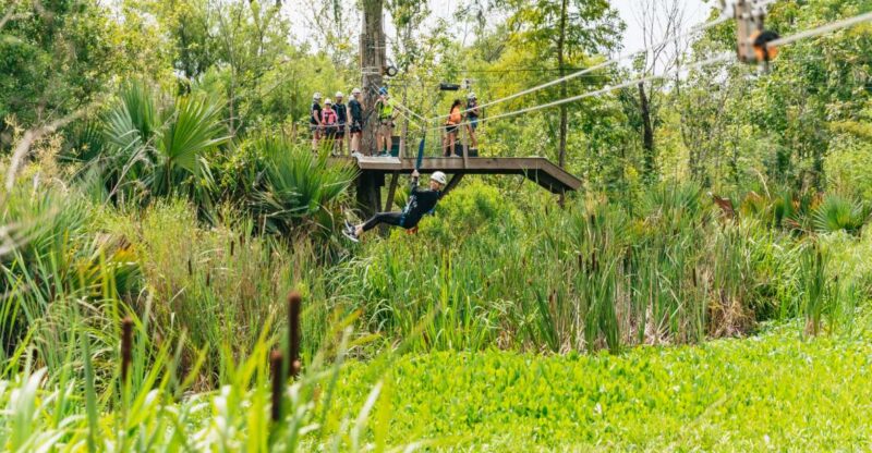 New Orleans: Swamp Zipline Tour - Key Points