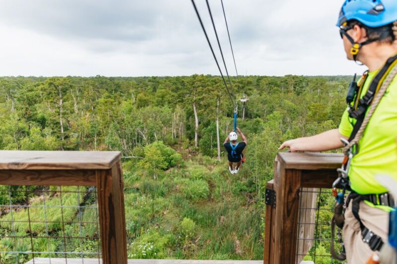New Orleans: Swamp Zipline Tour - Who Will Love This Tour?