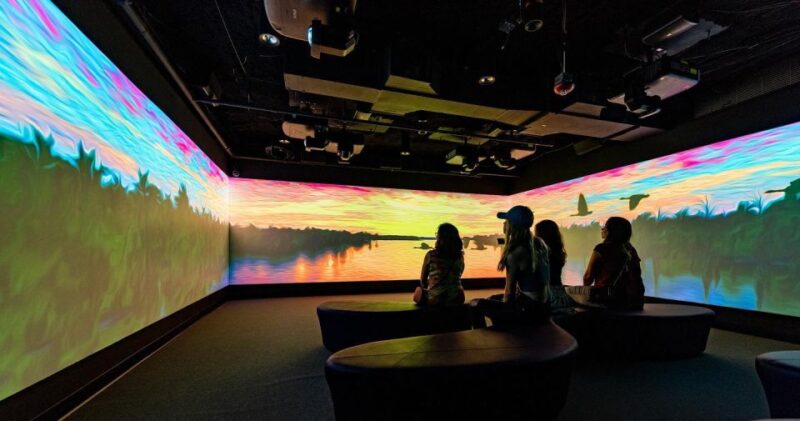 New Orleans: Vue Orleans Observation Deck Entry Ticket - Key Points