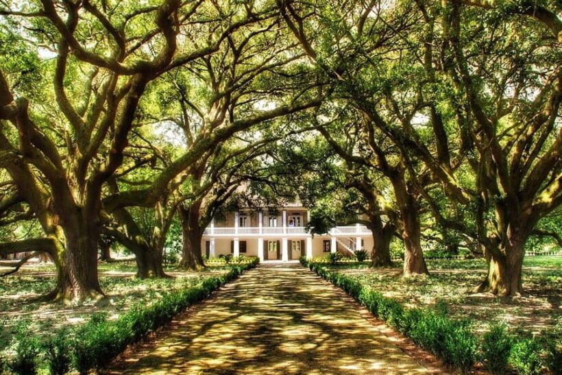 New Orleans: Whitney Plantation Tour with Transportation - Key Points