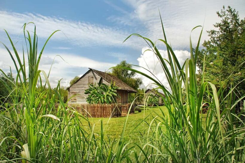 New Orleans: Whitney Plantation Tour with Transportation - The Sum Up: Is This Tour Worth It?