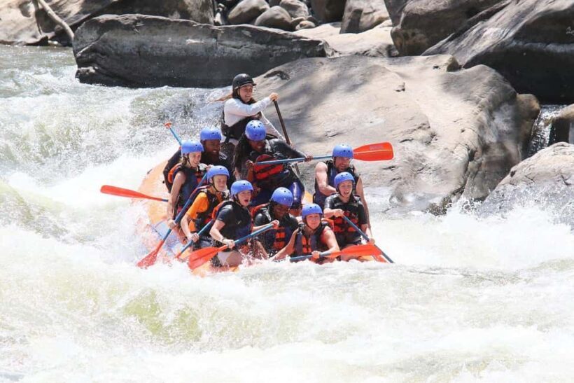New River Gorge: Lower New River Full-Day Rafting Tour - The Itinerary and What You Can Expect