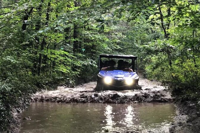 New River Gorge Side by Side Family Tour - The Value of This Adventure