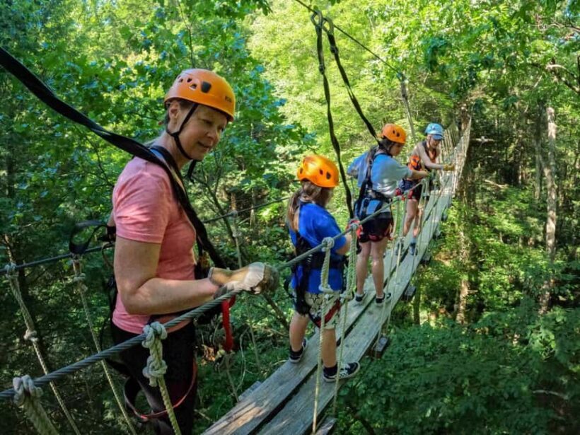 New River Gorge: TimberTrek Adventure Park Entry Ticket - The Courses and Challenges