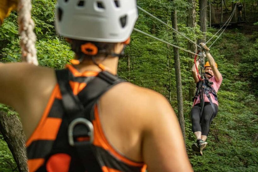 New River Gorge: TimberTrek Adventure Park Entry Ticket - The Scenic Element