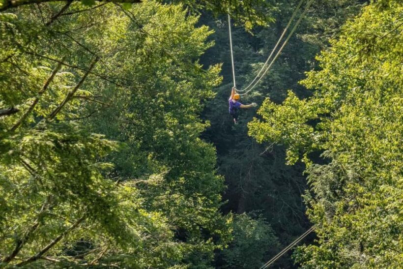 New River Gorge: TimberTrek Adventure Park Entry Ticket - The Experience on the Whole