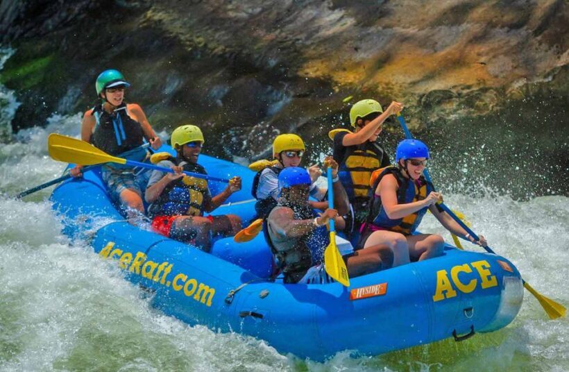New River Gorge Whitewater Rafting - Lower New Full Day - What to Expect from the Full Day of Whitewater Action