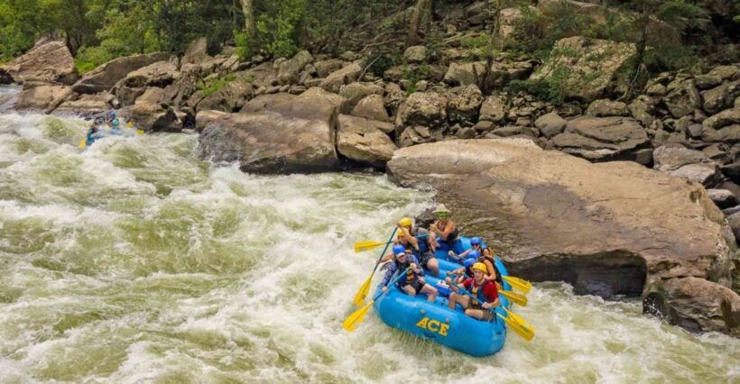 New River Gorge Whitewater Rafting - Lower New Full Day - Who Will Love This Experience?