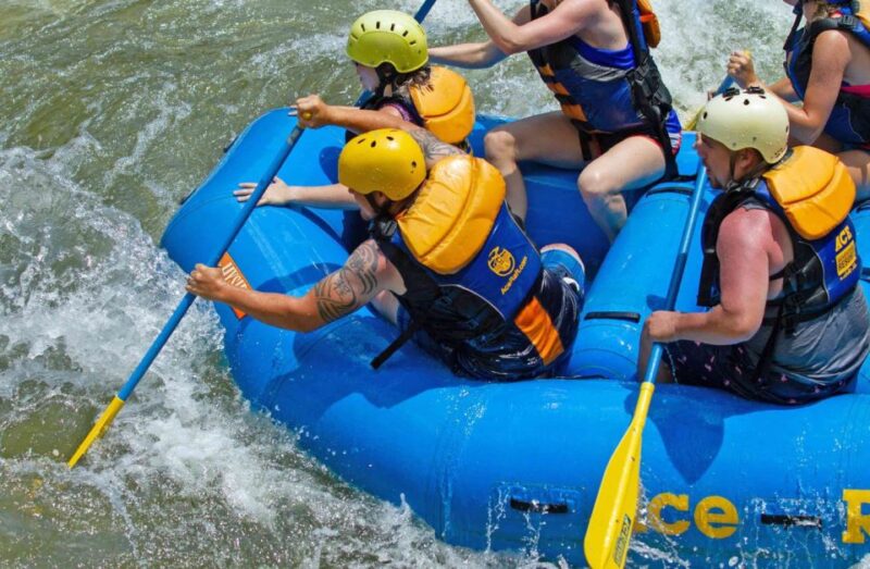 New River Gorge Whitewater Rafting - Lower New Full Day - Who Will Enjoy This Tour?