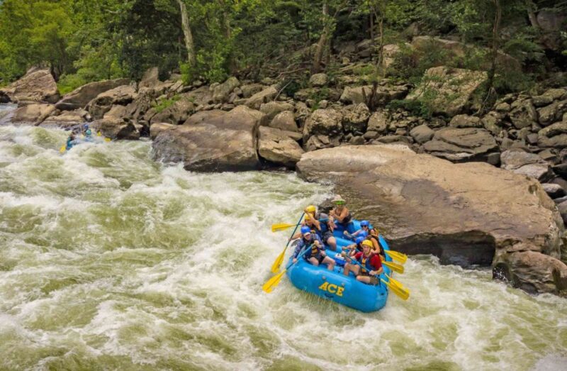 New River Gorge Whitewater Rafting - Lower New Full Day - FAQ