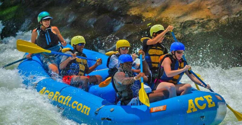 New River Gorge Whitewater Rafting - Lower New Half Day - Key Points