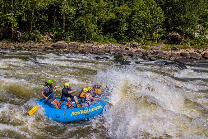 New River Gorge Whitewater Rafting, WV - Lower New Full Day - Why the New River Gorge Whitewater Rafting Stands Out