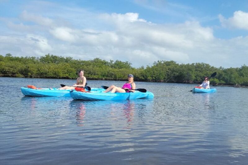 New Smyrna: Half-Day Guided SUP or Kayak Waterways Tour - What to Expect During the Tour