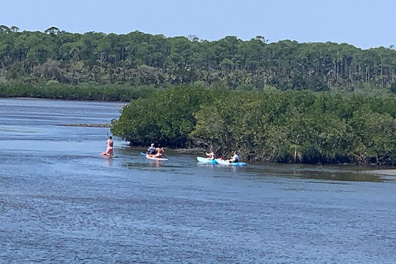 New Smyrna: Half-Day Guided SUP or Kayak Waterways Tour - Equipment and Inclusion