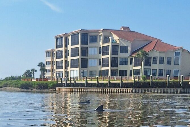 New Smyrna Mangrove Paddle & Mimosa Tour - Key Points