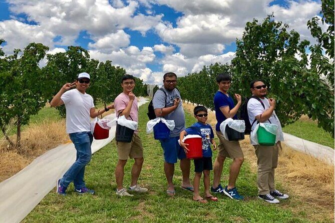 New South Wales Cherry Picking Tour - What Travelers Say