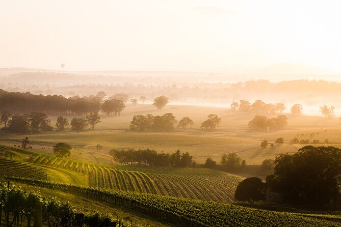 New South Wales Cherry Picking Tour - Who Should Consider This Tour?