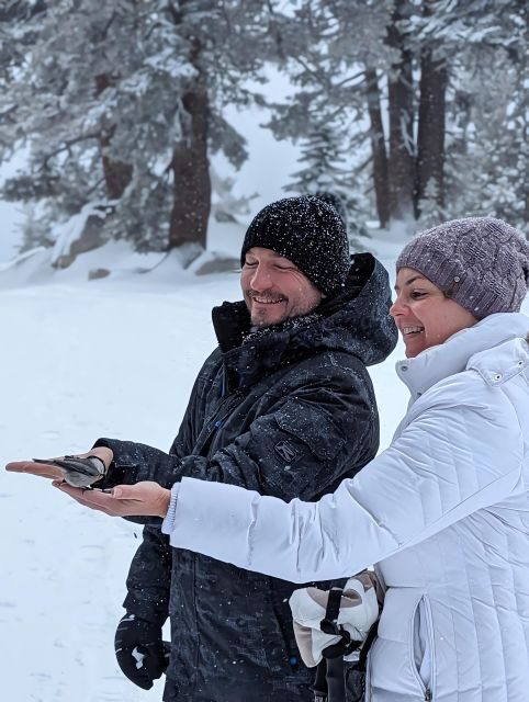 New Washoe City: Chickadee Ridge Beginner Snowshoeing Hike - Exploring the Chickadee Ridge Snowshoe Tour