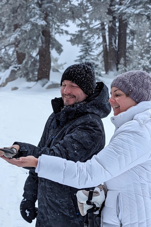 New Washoe City: Chickadee Ridge Beginner Snowshoeing Hike - Value and Practical Considerations