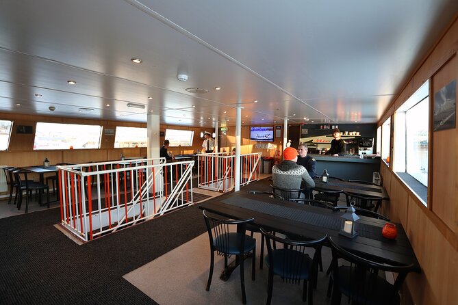 New Years Fireworks by Boat from Reykjavik - Experience Quality and User Feedback