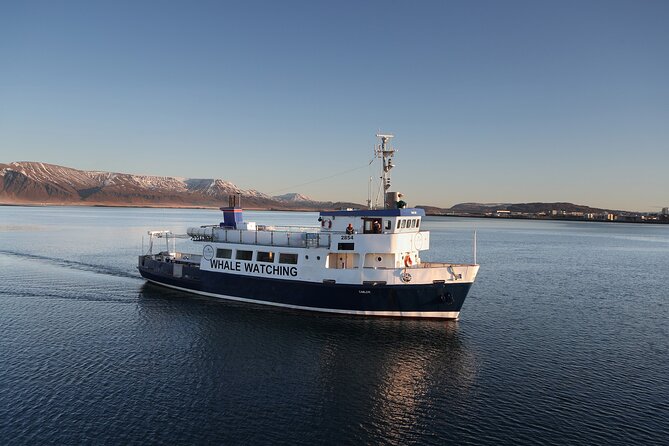 New Years Fireworks by Boat from Reykjavik - Final Thoughts