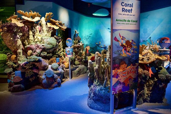 New York Aquarium Admission - What to Expect from Your Visit to the New York Aquarium