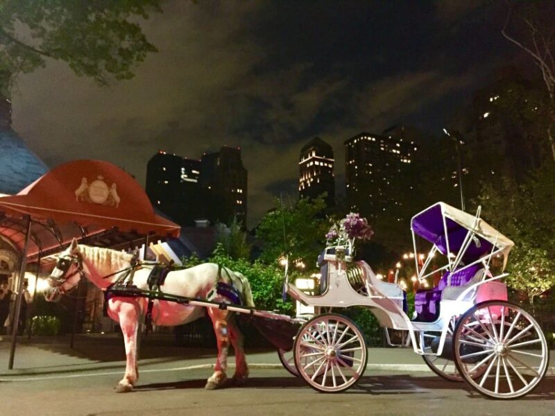 New York: Carriage Ride in Central Park - Discovering Central Park by Carriage: A Practical Guide