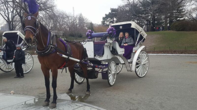 New York: Carriage Ride in Central Park - FAQ