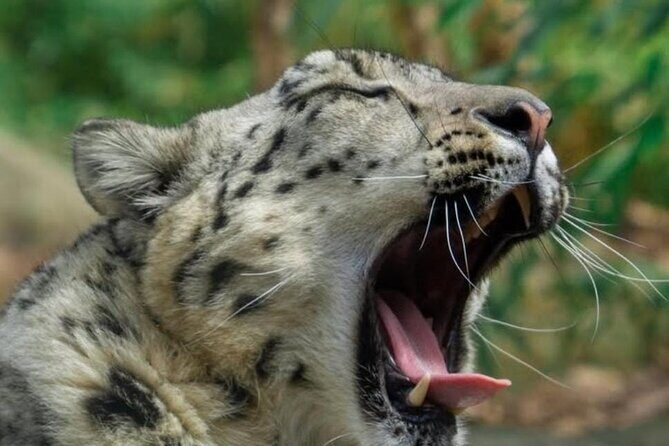 New York Central Park Zoo Ticket - The Central Park Zoo: A Closer Look