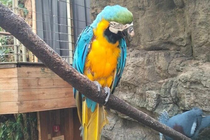 New York Central Park Zoo Ticket - Frequently Asked Questions