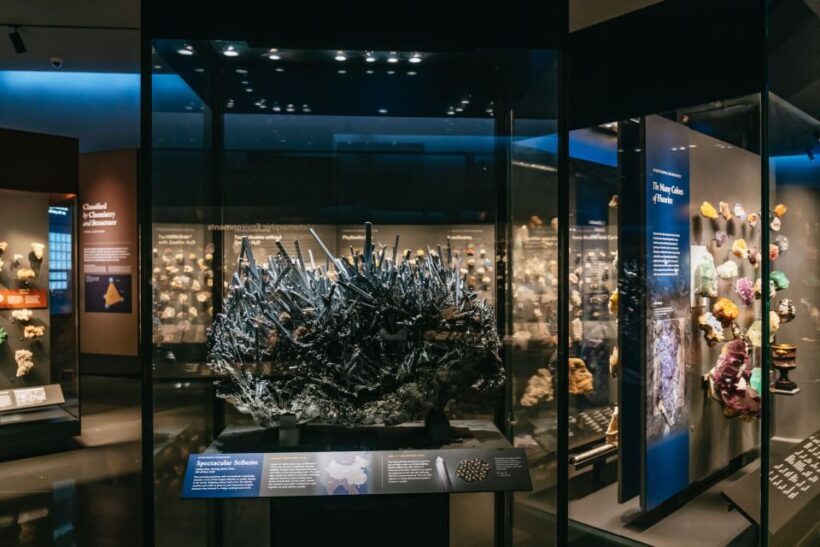 New York City: American Museum of Natural History Ticket - Final Word