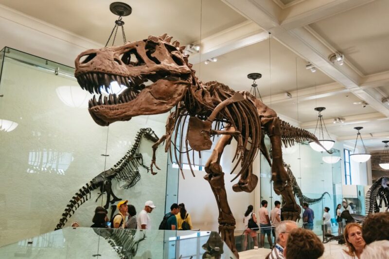 New York City: American Museum of Natural History Ticket - Key Points