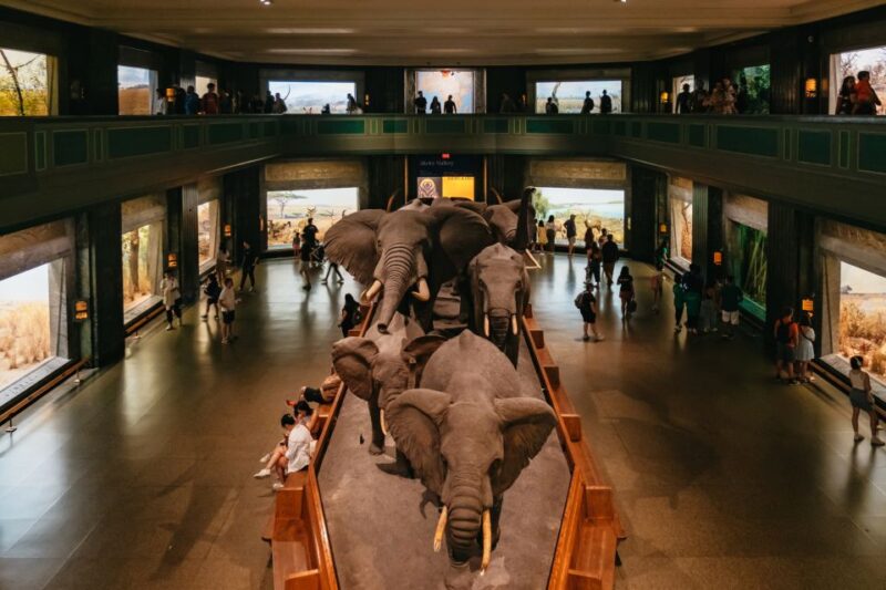 New York City: American Museum of Natural History Ticket - What the Reviews Say