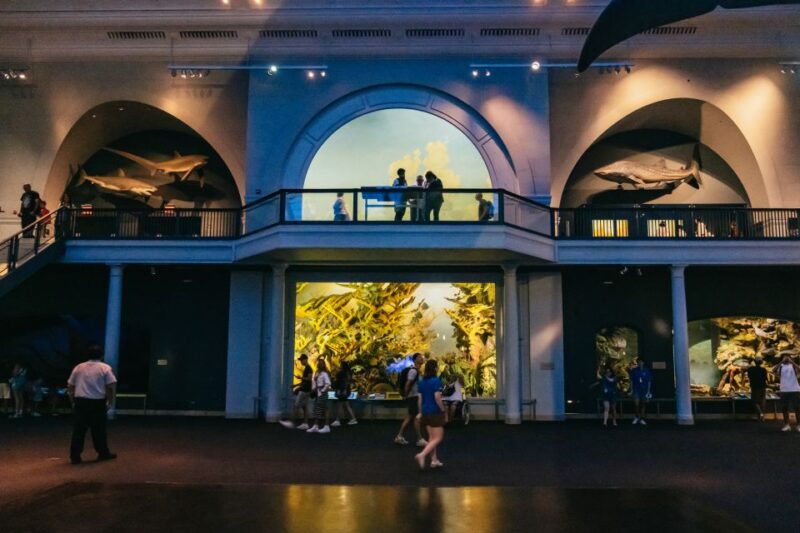 New York City: American Museum of Natural History Ticket - FAQ