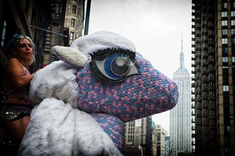 New York City: Any Place Photo Experience - Key Points